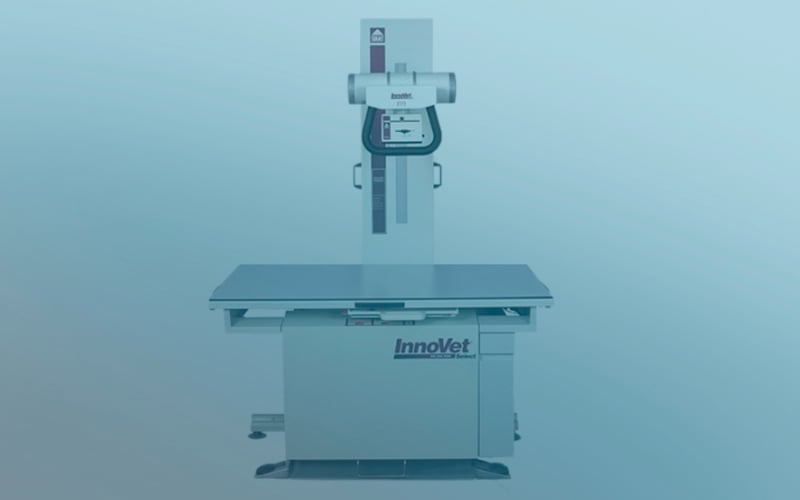 X-Ray for the Veterinary Industry | X-Ray Design, Set-Up, Sourcing